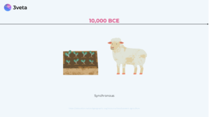 Mastering Synchronous & Asynchronous Communication | 3veta